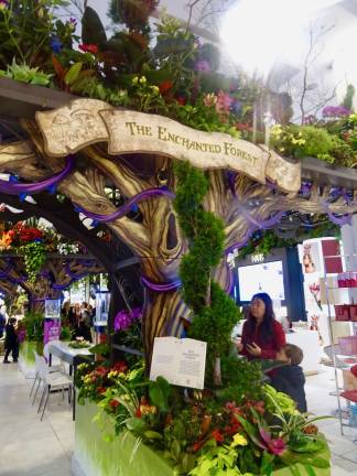 a tale of two seasons