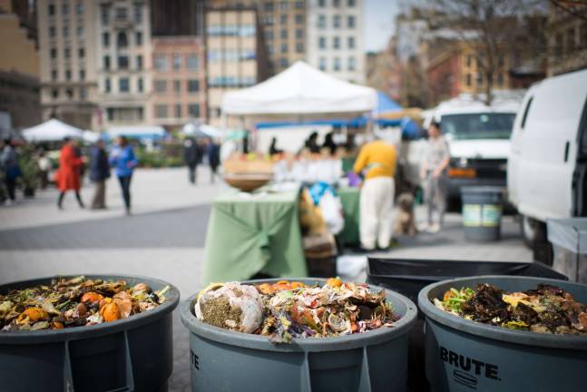 The Big Apple Takes on Composting